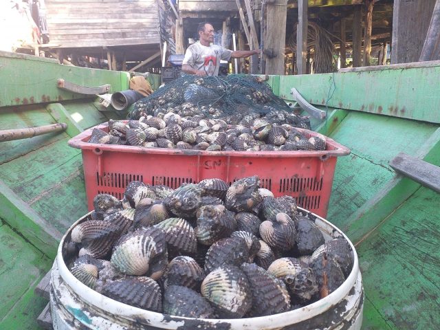 Hasil Laut Terjual Hingga ke Negeri Jiran